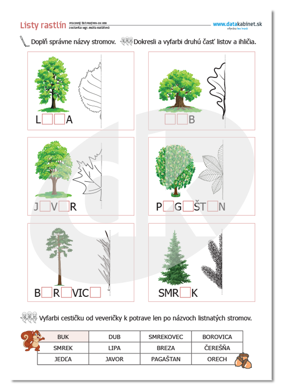 Listy rastlín | datakabinet.sk