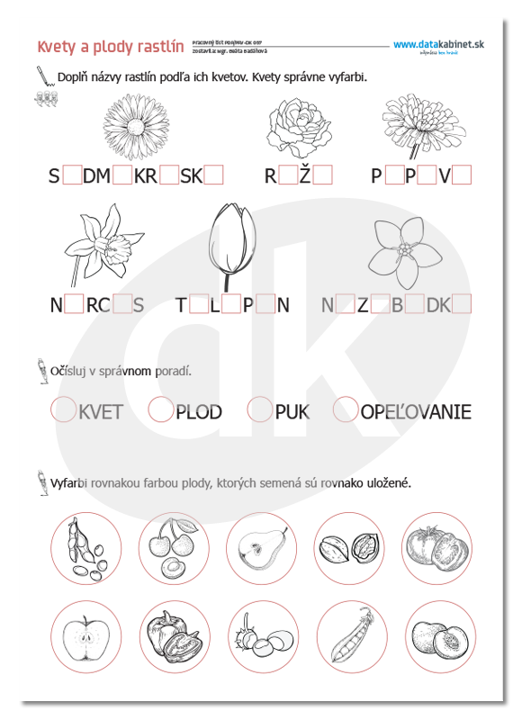 Kvety a plody rastlín | datakabinet.sk