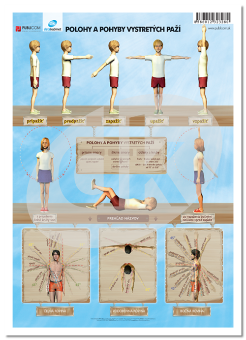 Polohy a pohyby paží | datakabinet.sk