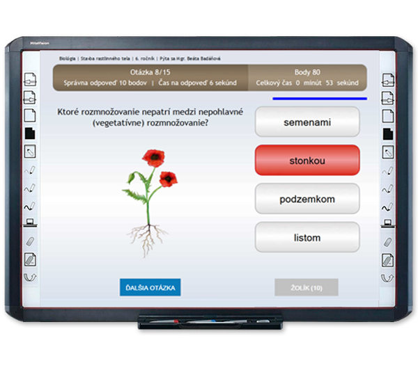 Kvíz - Stavba rastlinného tela | datakabinet.sk